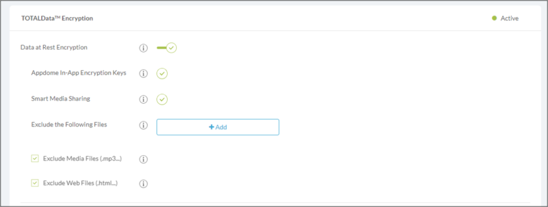 How to Verify Data-at-Rest Encryption in a Secured Mobile App