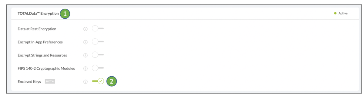 How to Build Secure Enclave iOS Encryption Key