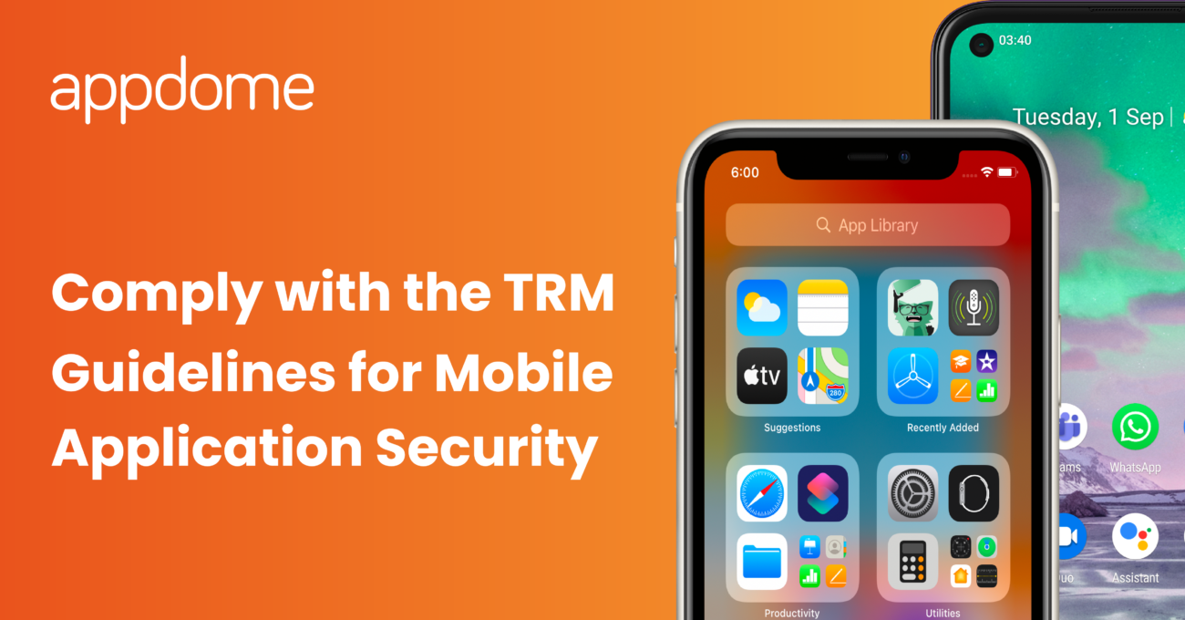 Blog | Comply With the TRM Guidelines for Mobile Application Security