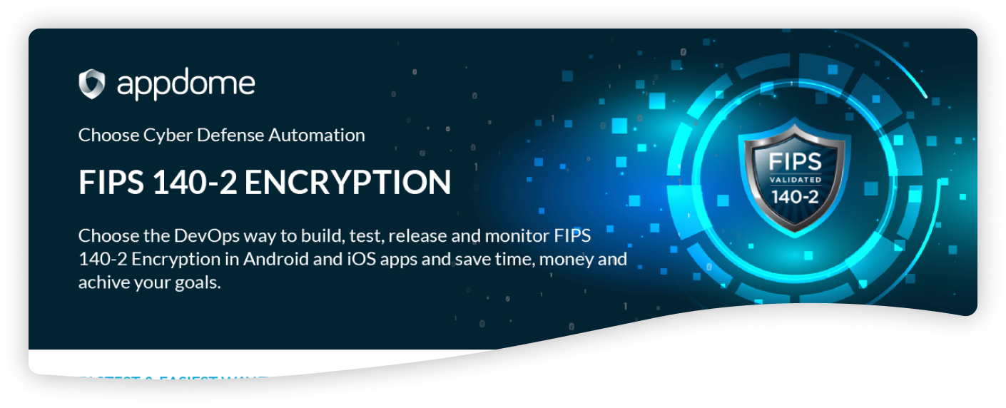 Free Guide, Better FIPS 140-2 Encryption in CI/CD