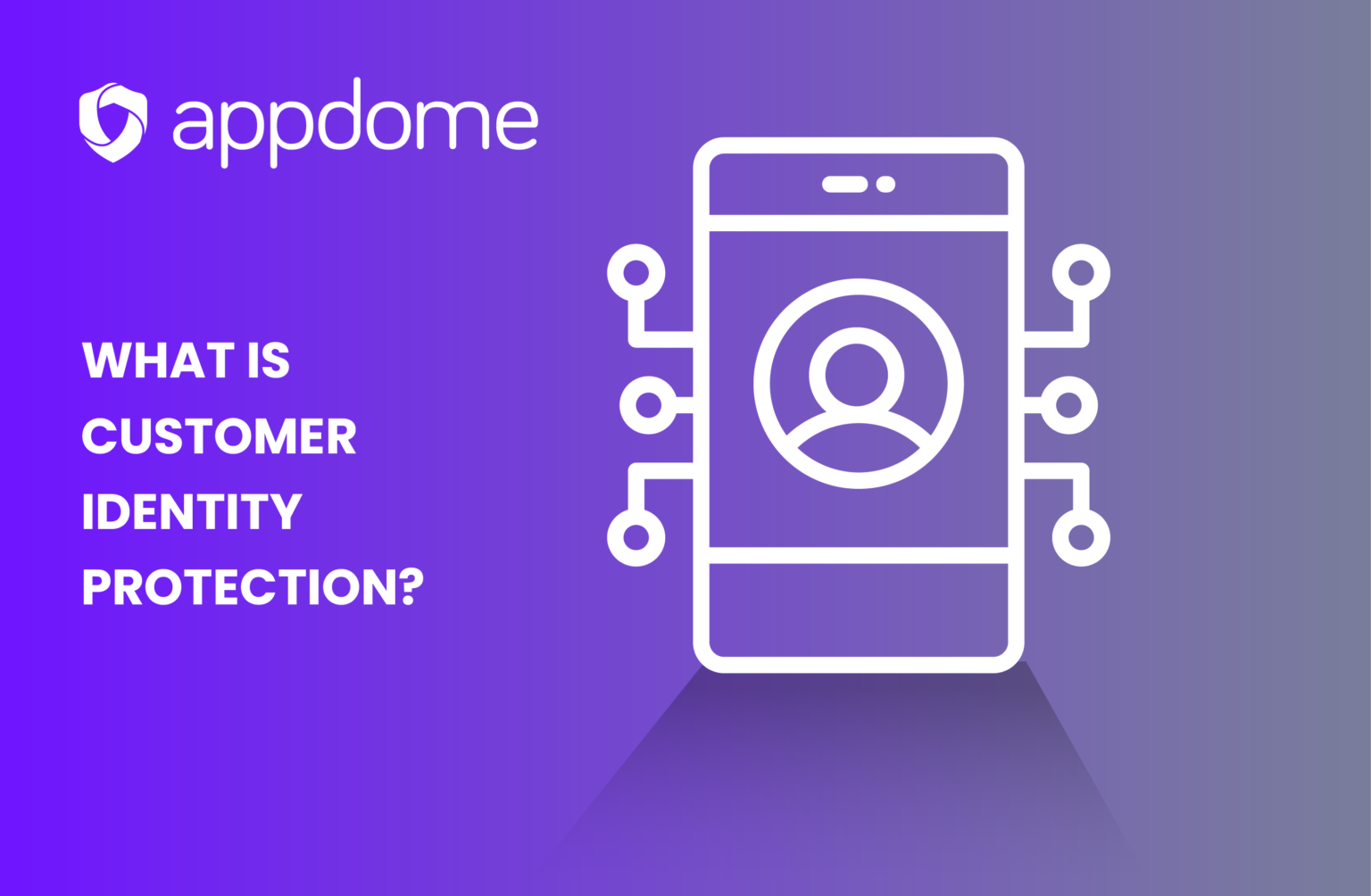 What is Customer Identity Protection?